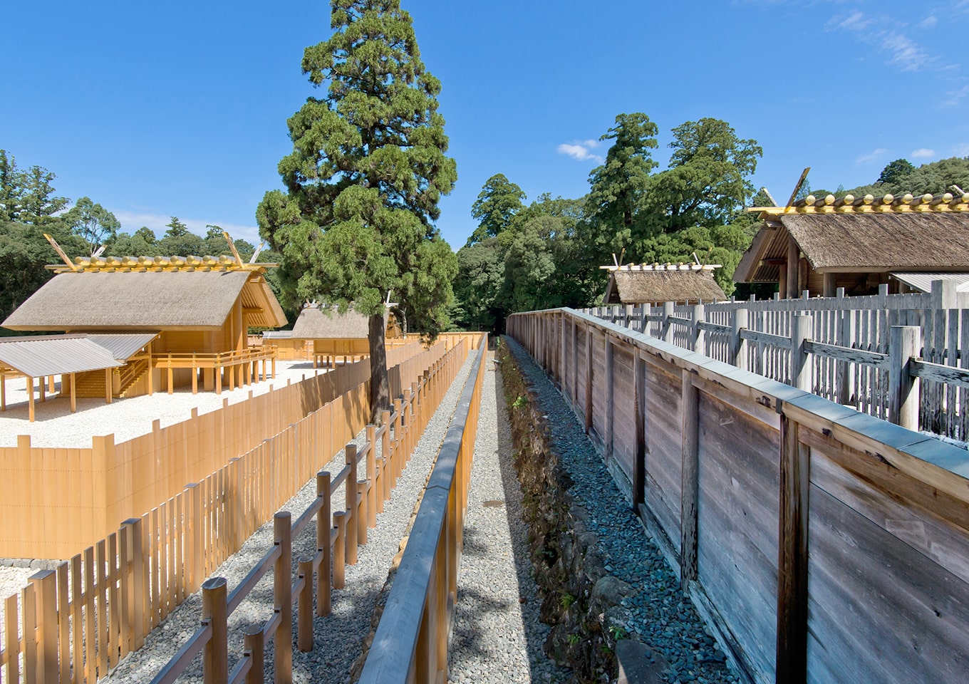 Ise Jingu│Jinja Honcho