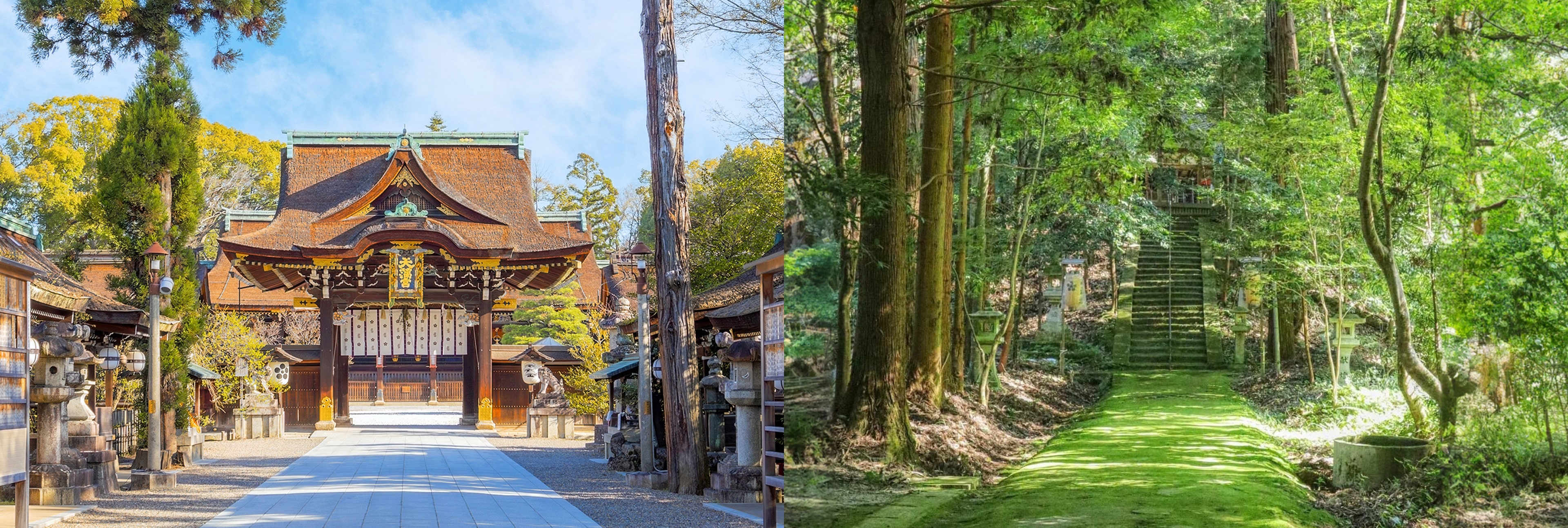 What is Shinto?│Jinja Honcho